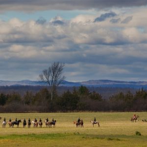 The Pack Membership - MFHA