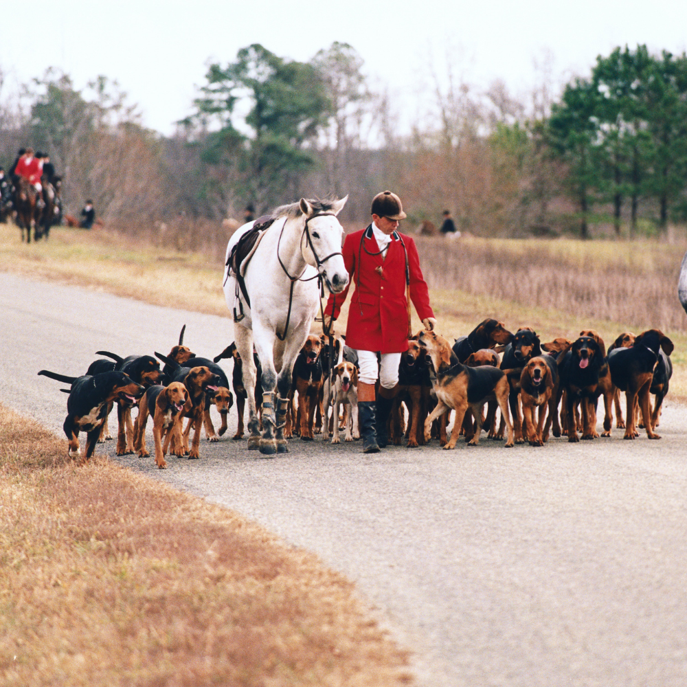 Professional Development Program (PDP) - MFHA