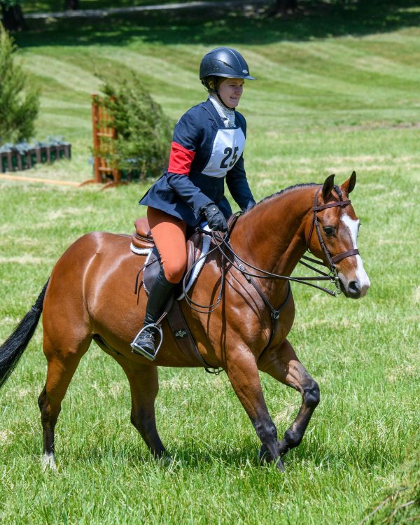 2023 Fieldhunter Championships Results - Masters of Foxhounds ...