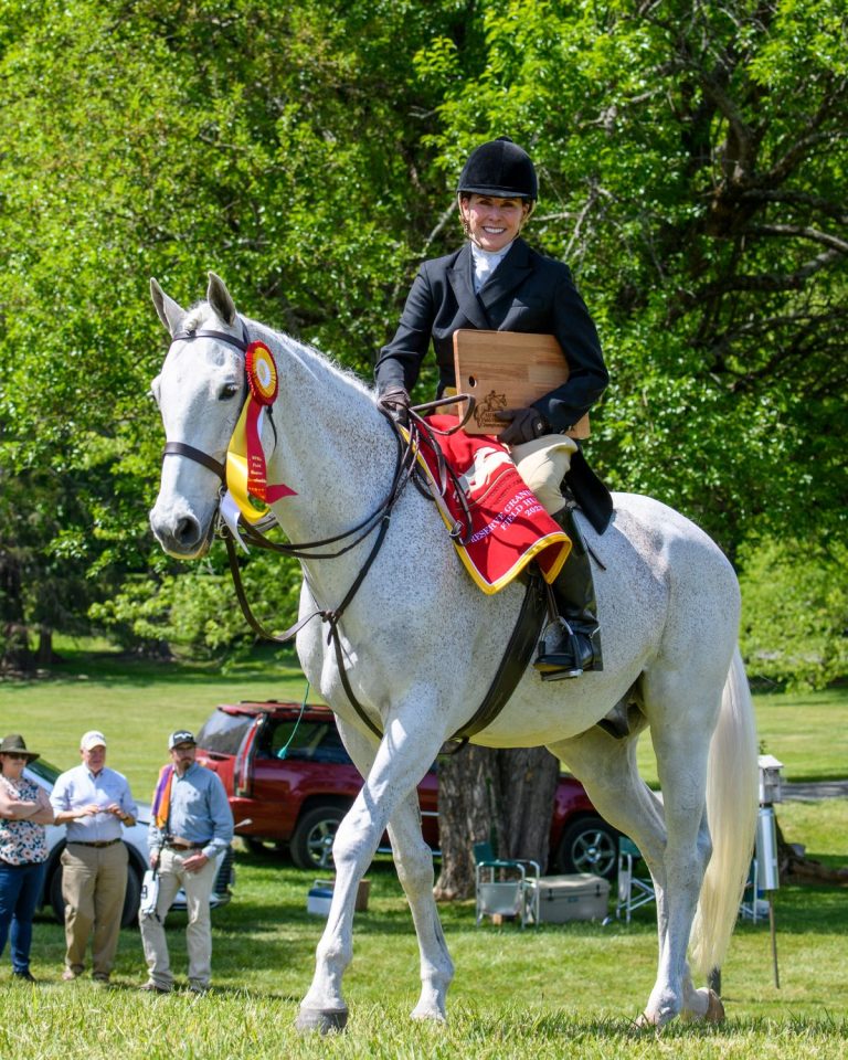 2023 Fieldhunter Championships Results - Masters of Foxhounds ...